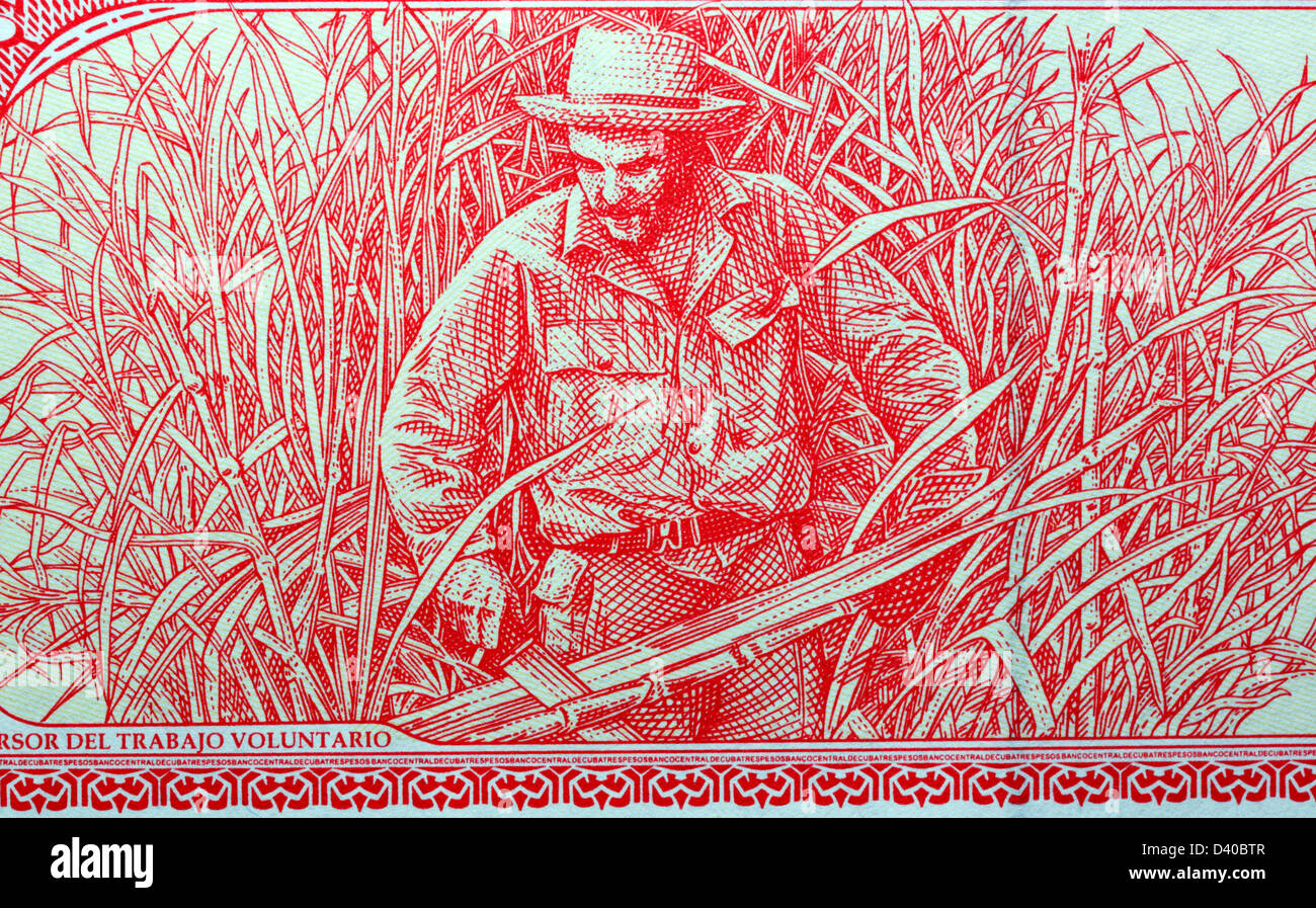 Che Guevara in sugar cane field from 3 Pesos banknote, Cuba, 2004 Stock ...