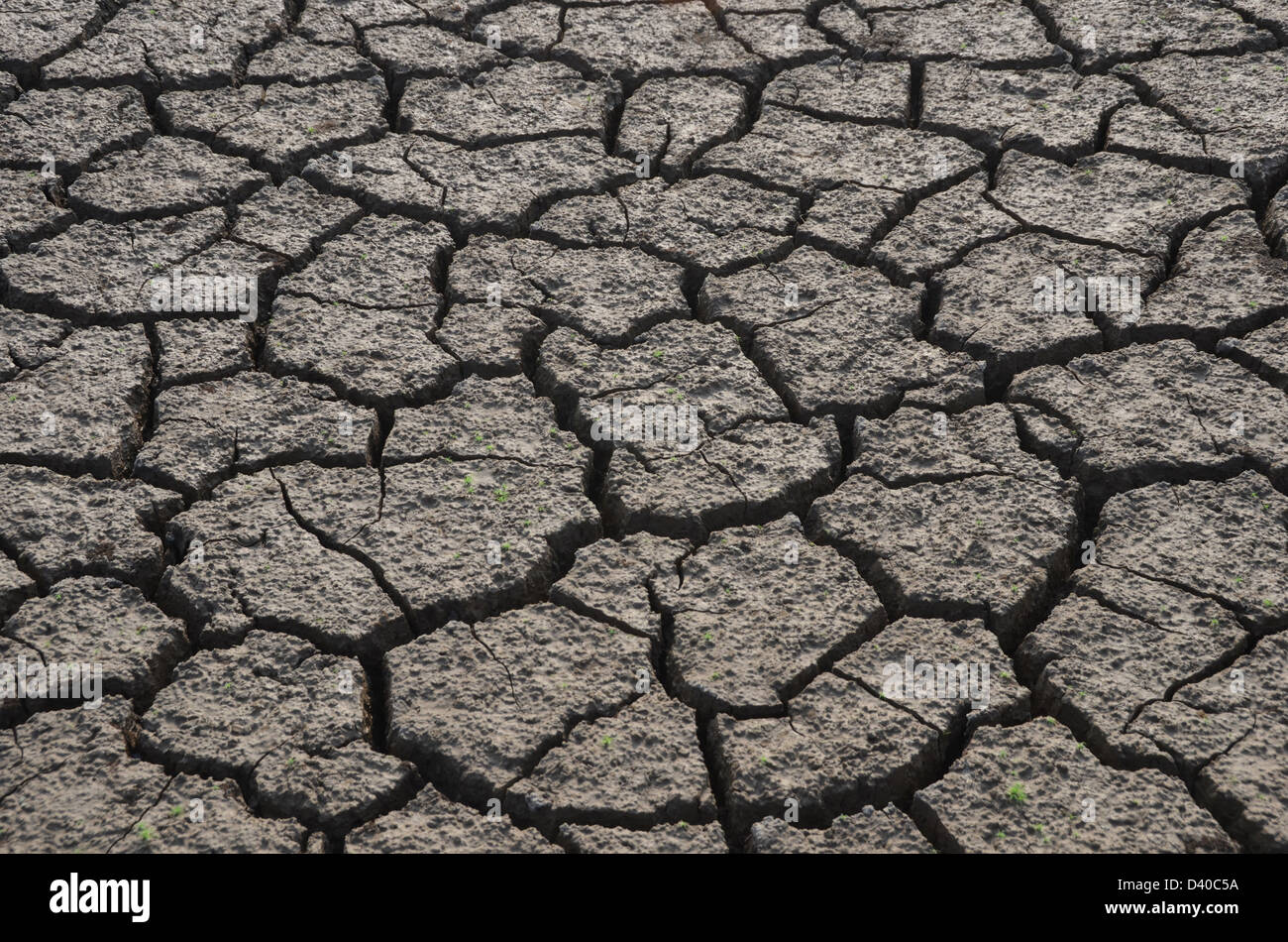 Dry land in South India Stock Photo - Alamy