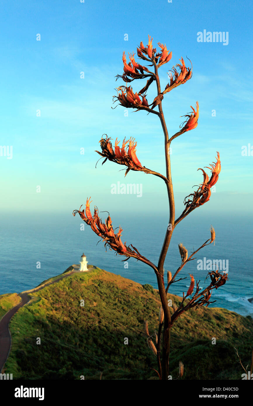 Cape Reinga lighthouse in Northland Stock Photo - Alamy