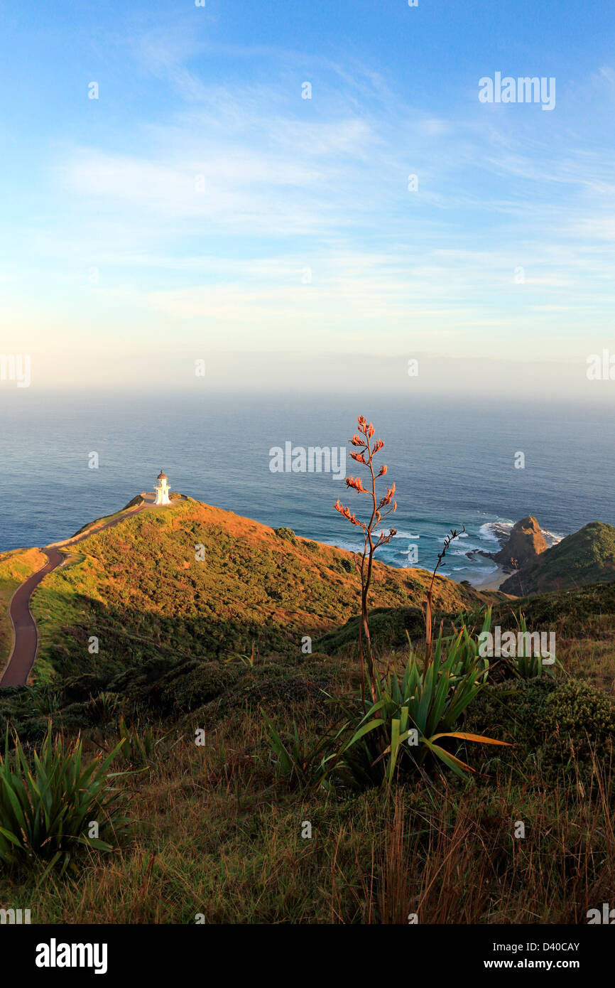 Cape reinga lighthouse hi-res stock photography and images - Alamy