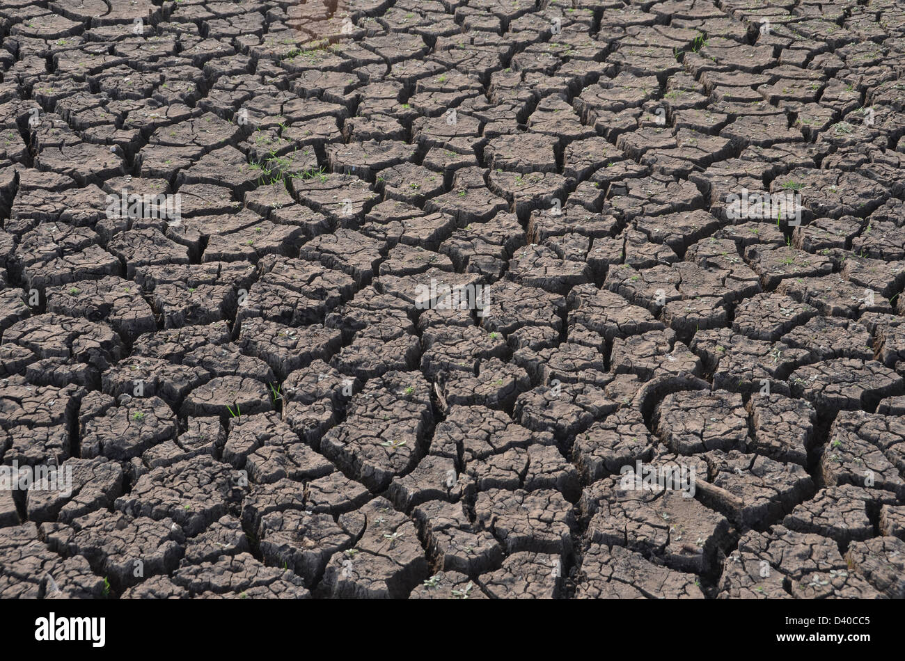 Dry land in South India Stock Photo - Alamy