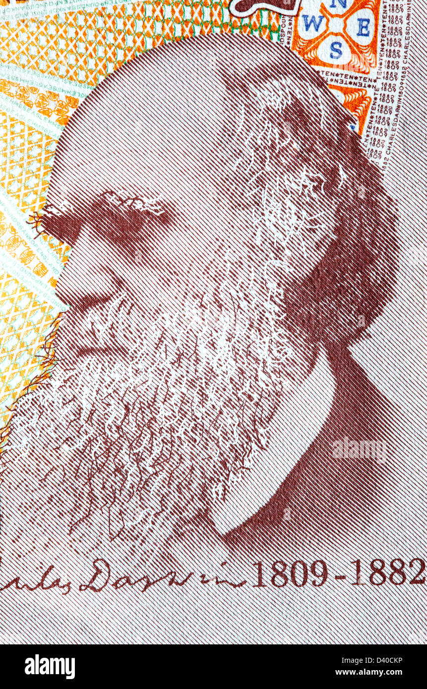 10 pound hi-res stock photography and images - Alamy