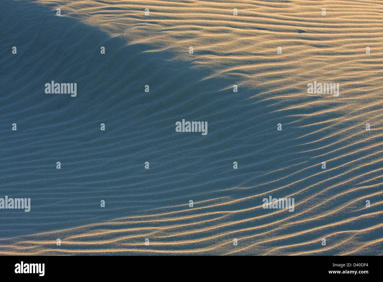 Dune structure hi-res stock photography and images - Alamy