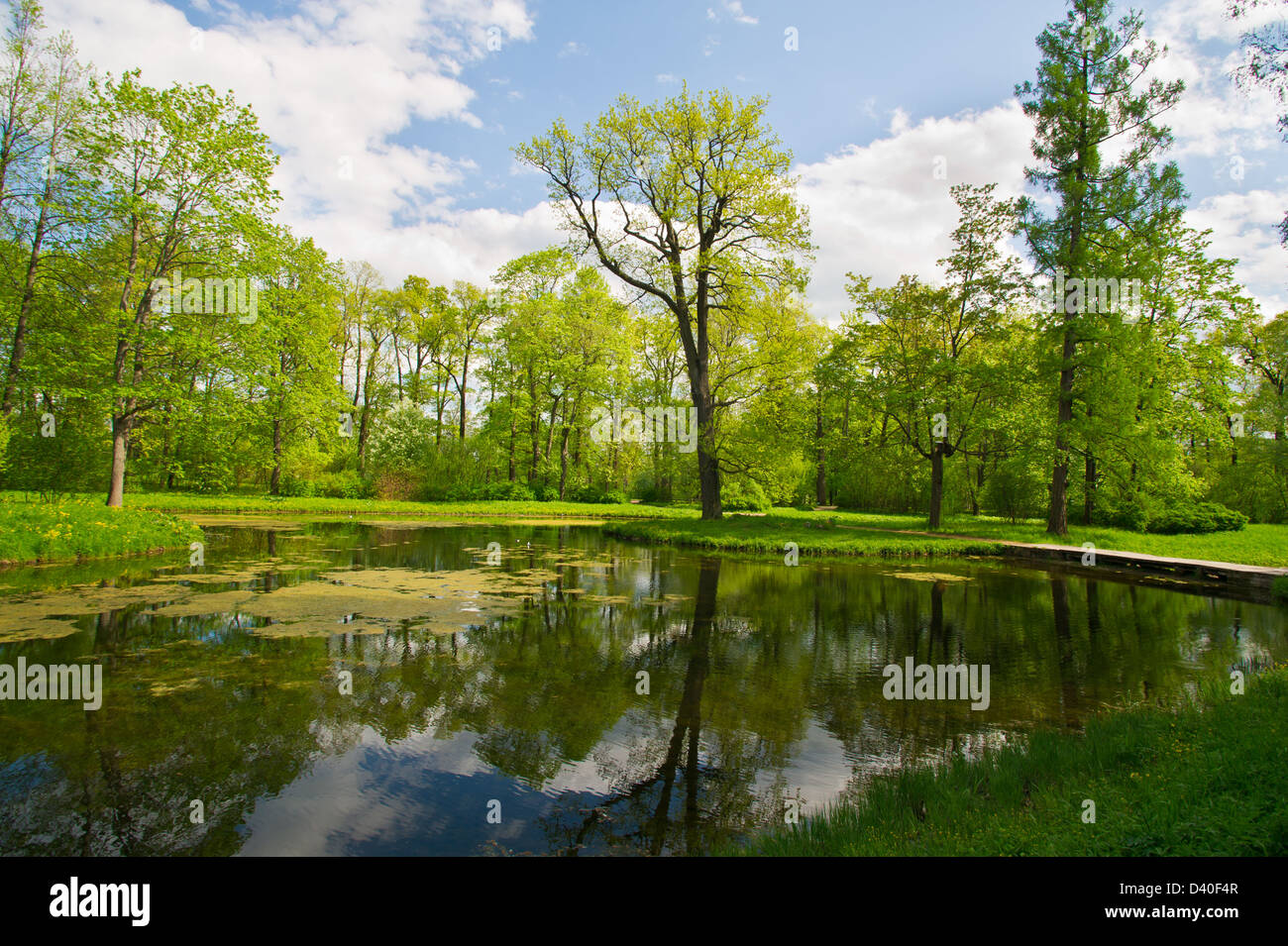 Trails and lakes in the summer a beautiful park Stock Photo - Alamy