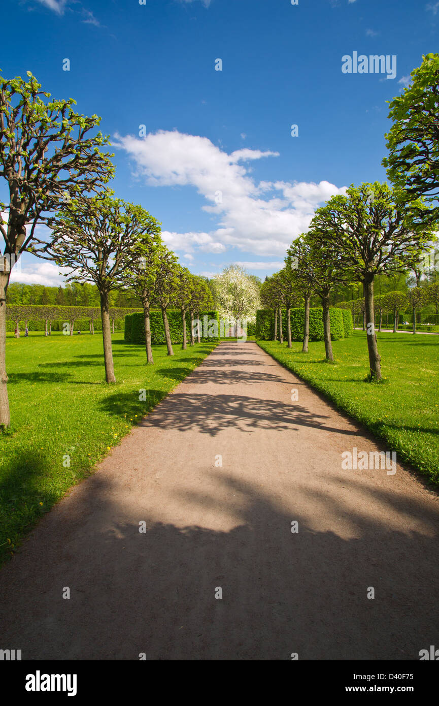 The natural landscape with flowering trees in the park Stock Photo - Alamy