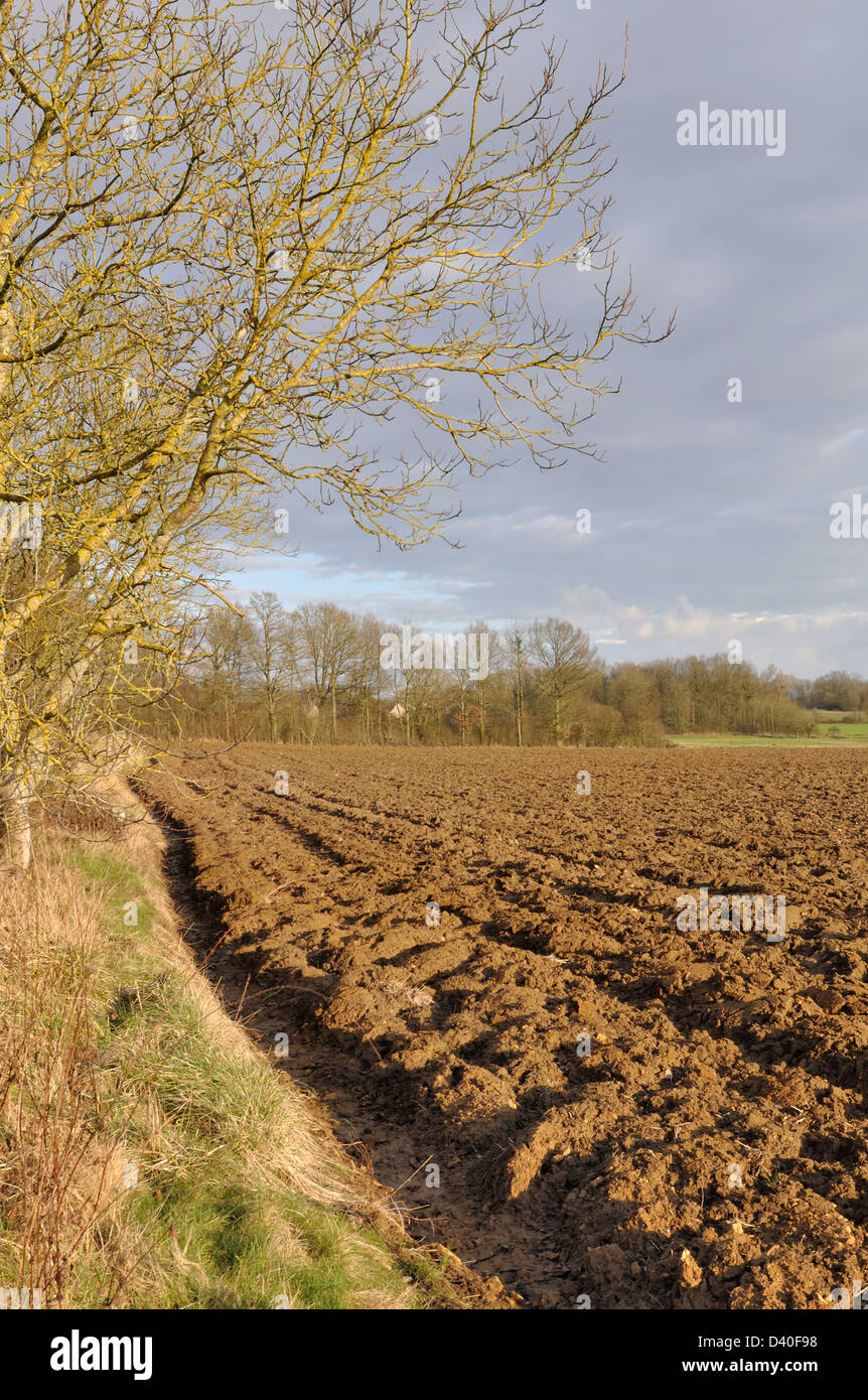 wide field of plowed land Stock Photo - Alamy