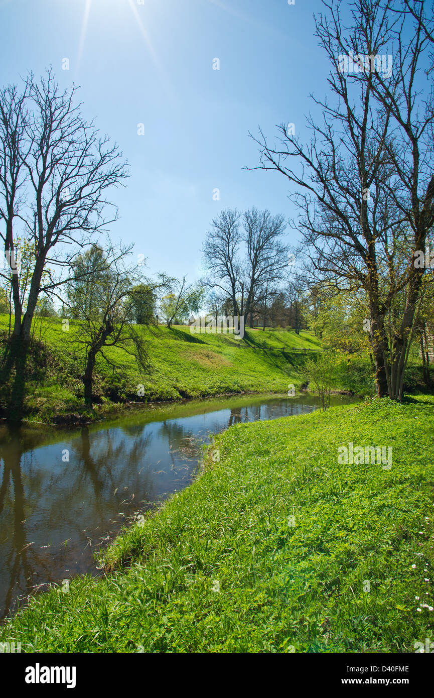 Walk in the Park in the summer good sunny weather Stock Photo - Alamy