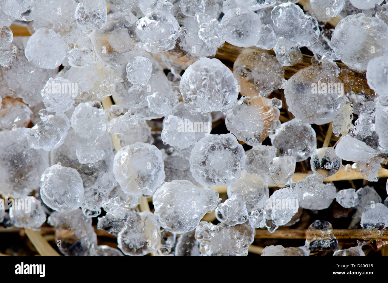 Hailstone hi-res stock photography and images - Alamy