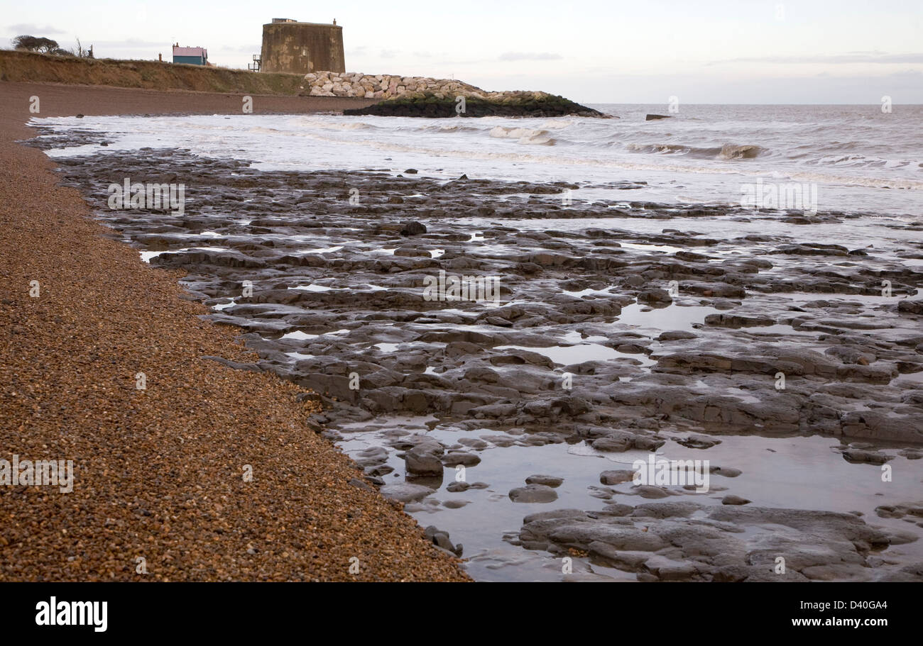 London Clay wave cut platform exposed at low tide on the beach at East ...