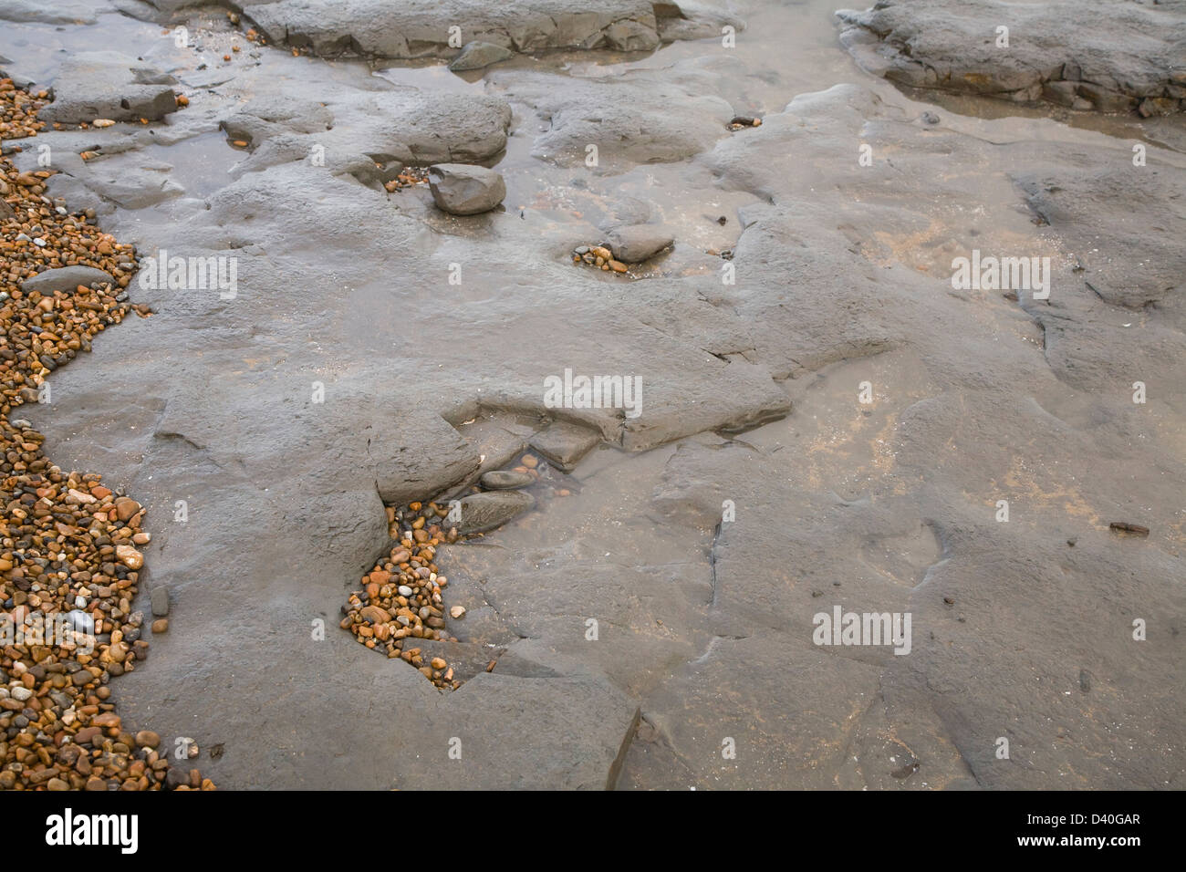 London Clay wave cut platform exposed at low tide on the beach at East ...