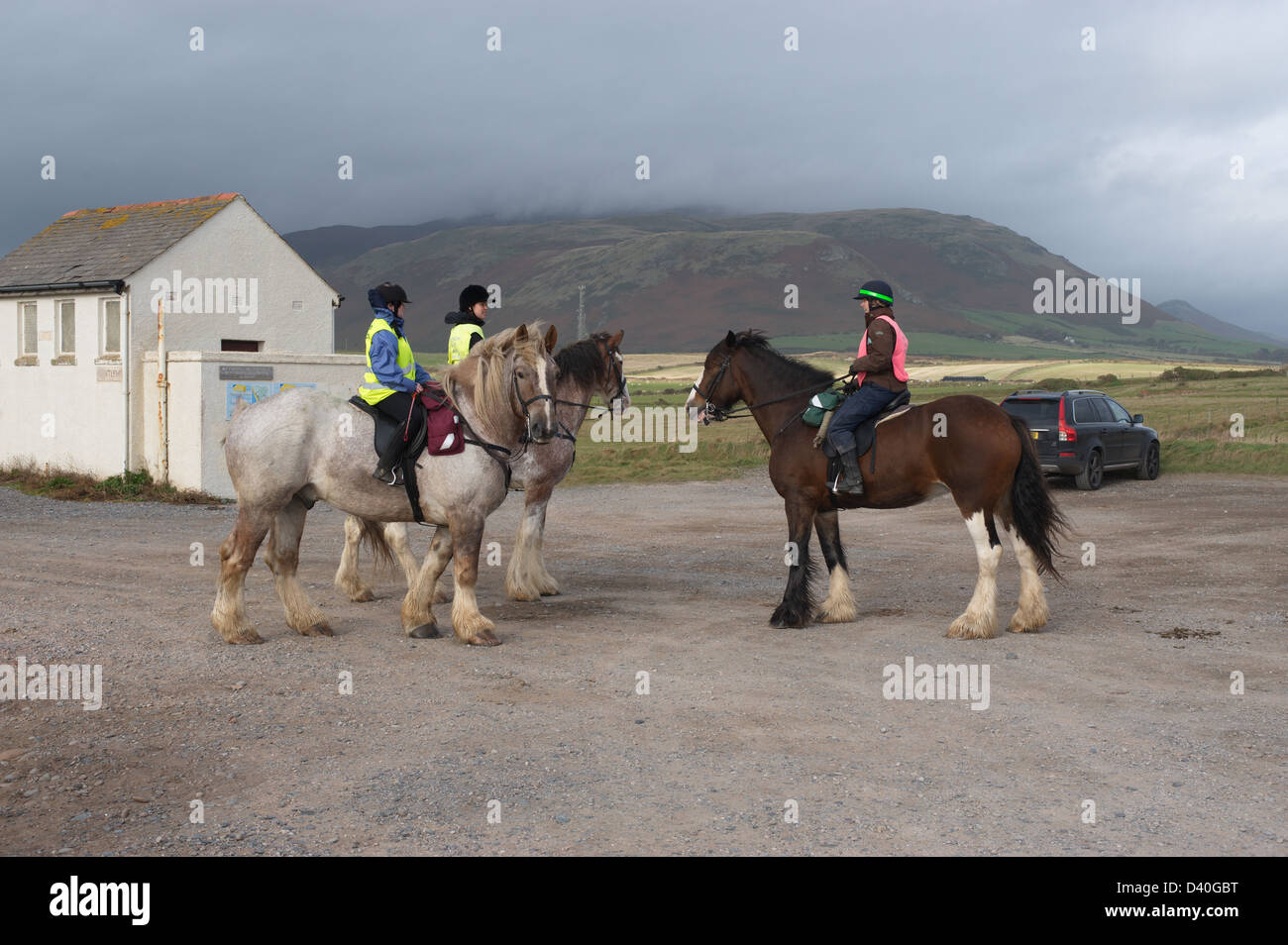 Shire horse ride hi-res stock photography and images - Alamy