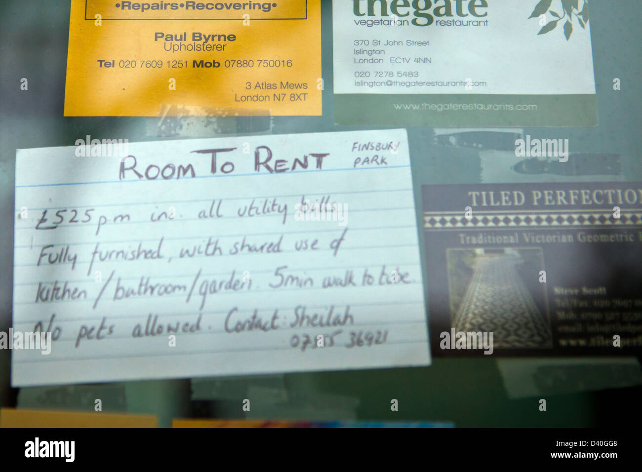 Room to Let sign in shop window Stock Photo - Alamy