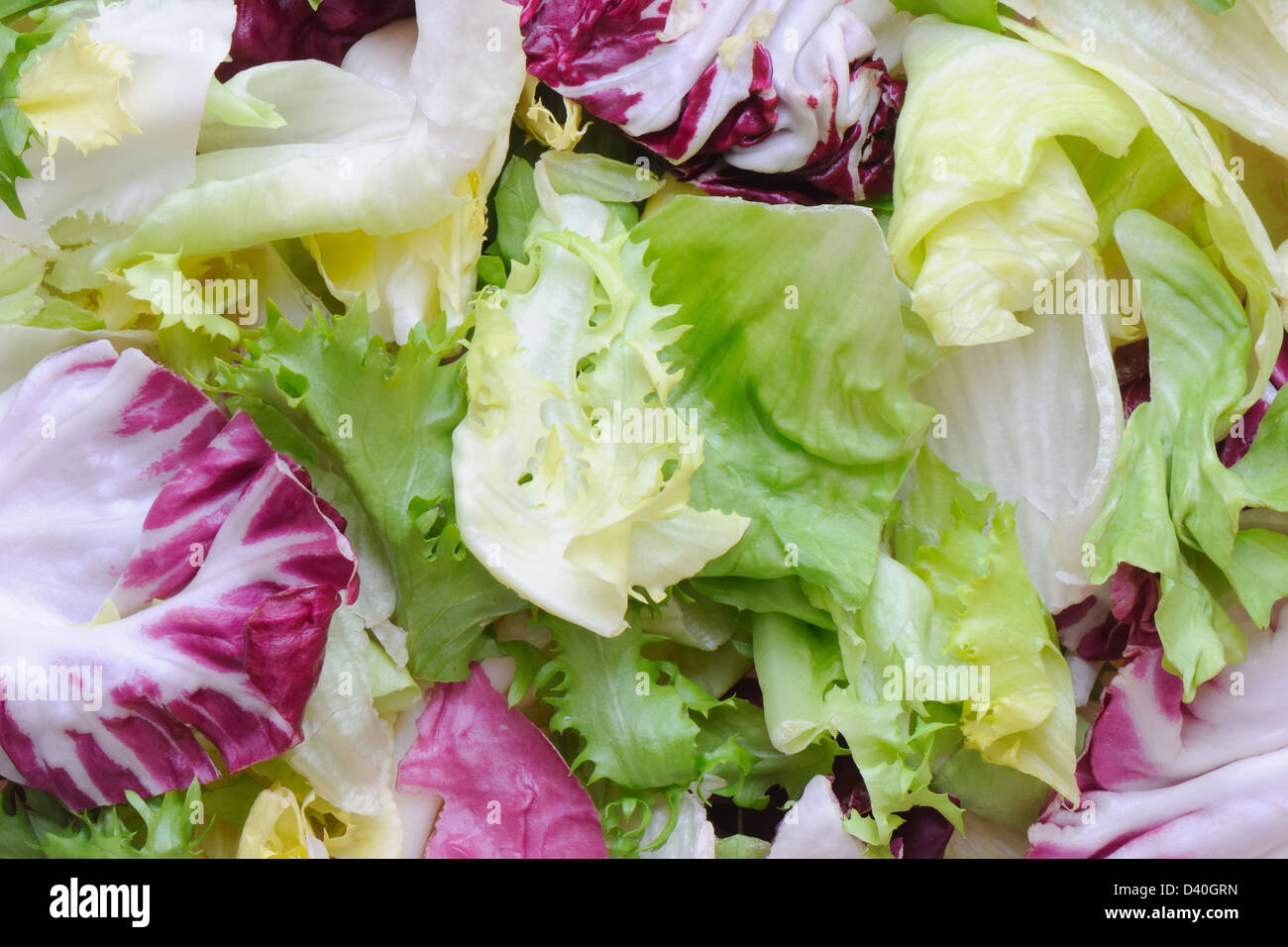 Close up mixed greens hi-res stock photography and images - Alamy