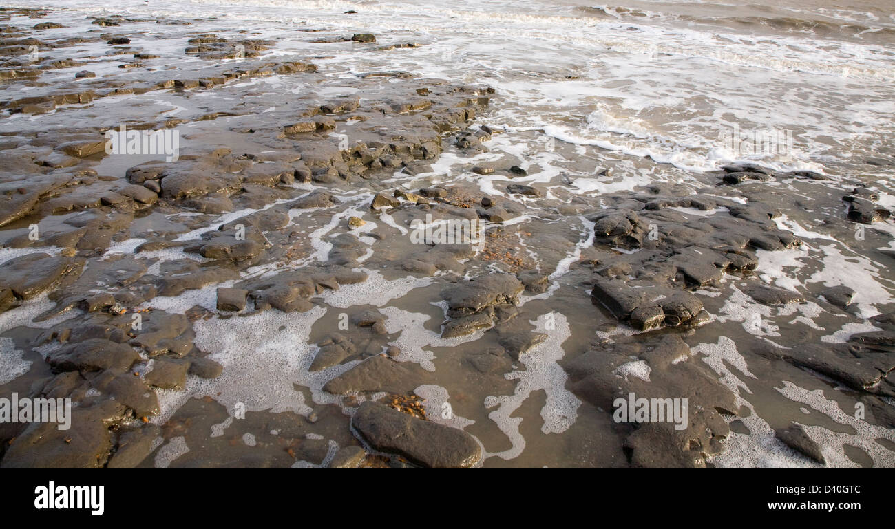 London Clay wave cut platform exposed at low tide on the beach at East ...