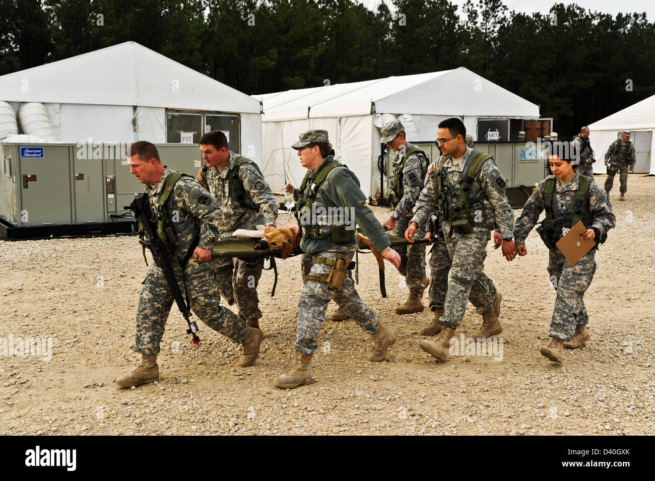 Military Working Dog Stock Photo - Alamy