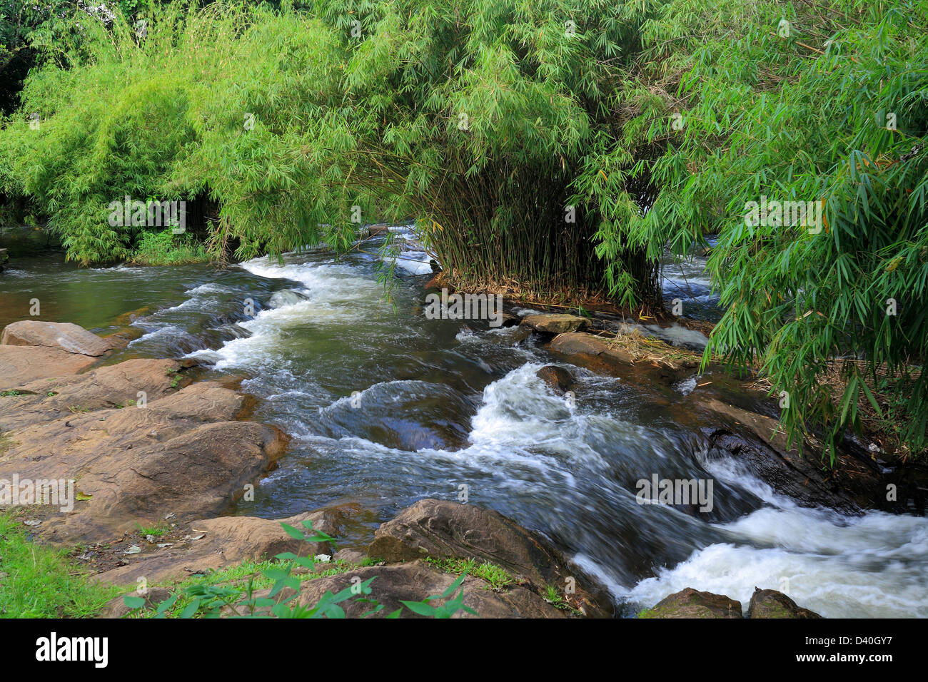 Kerala ecosystems hi-res stock photography and images - Alamy