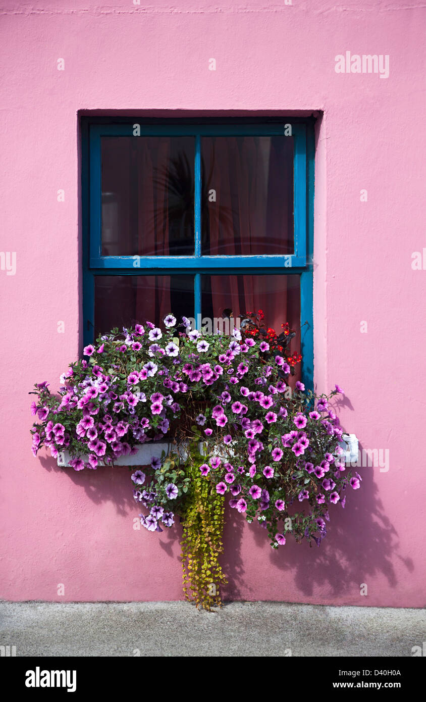 Colourful window hi-res stock photography and images - Alamy