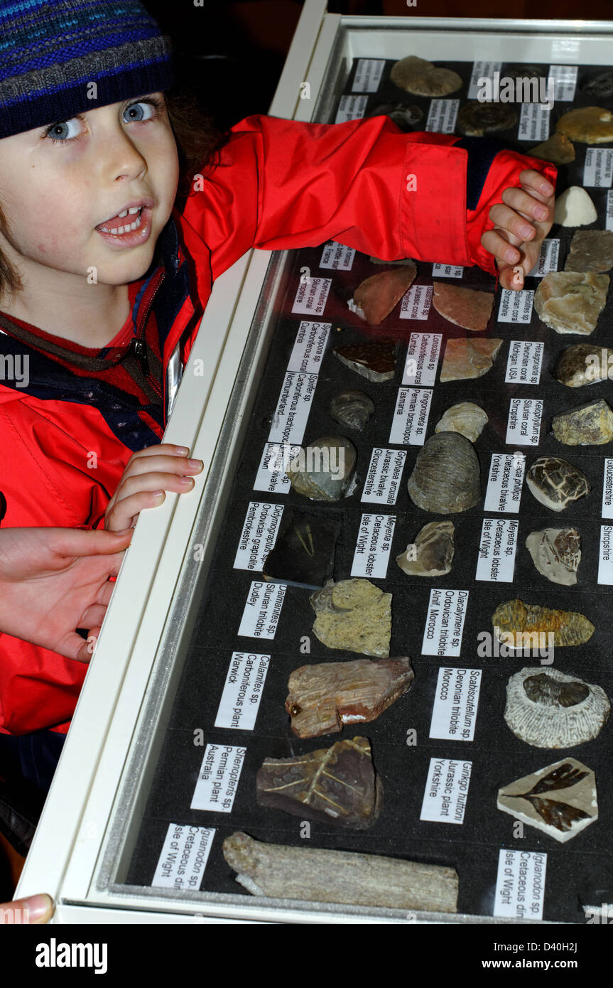 Dinosaur Isle, Sandown, Isle of Wight, England, UK, GB Stock Photo - Alamy