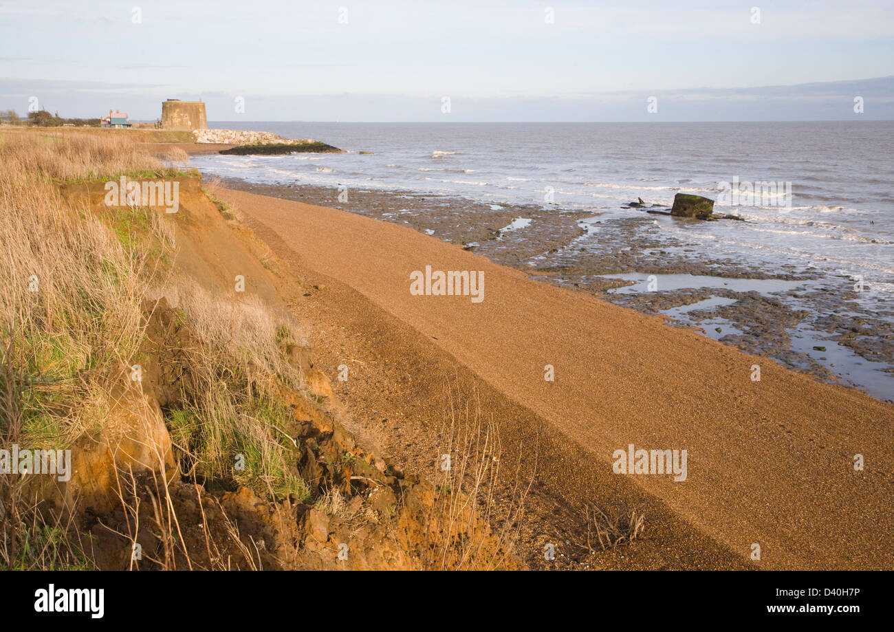 Rapidly eroding cliff of soft Red Crag rock at East Lane, Bawdsey ...