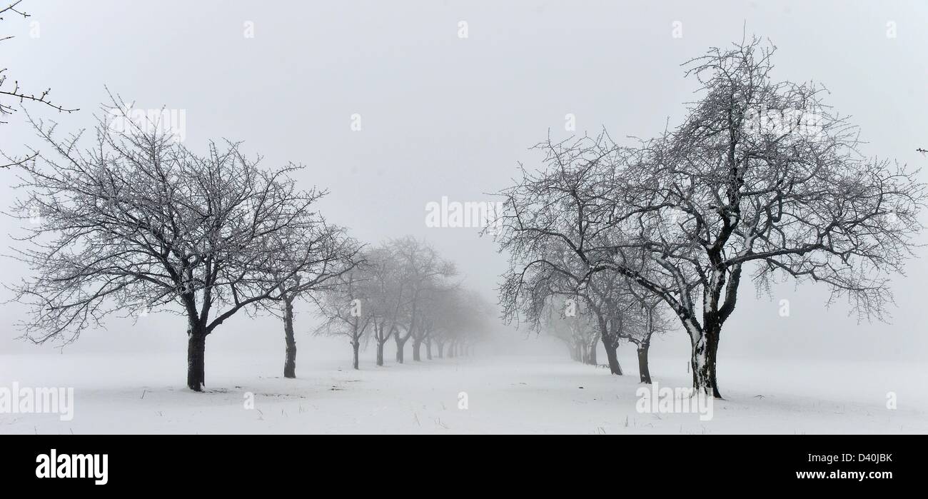 Crossen High Resolution Stock Photography and Images - Alamy