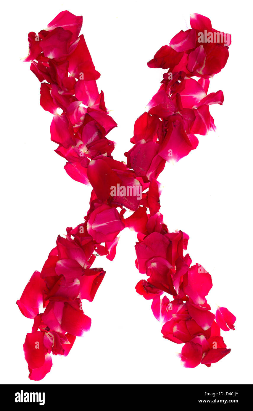 Rose Petals Forming Letter High Resolution Stock Photography and Images ...