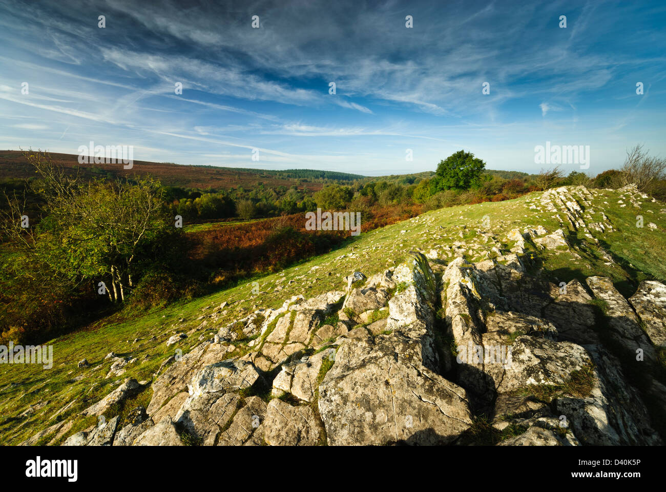 Limestone outcrop on on the top of an area of the Mendip hills in ...