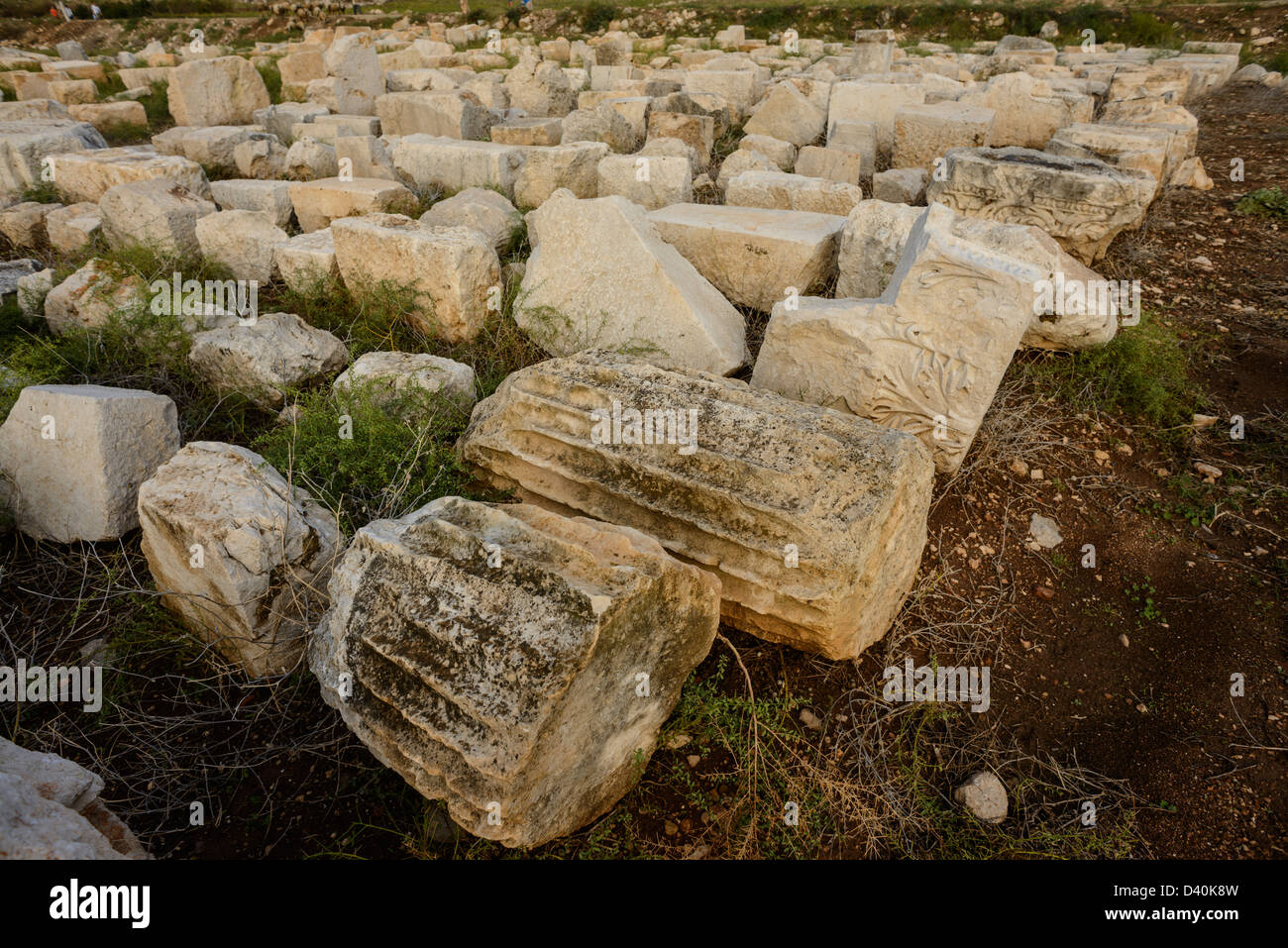 fragmented marble and stone columns laid out on the ground at Patara in ...