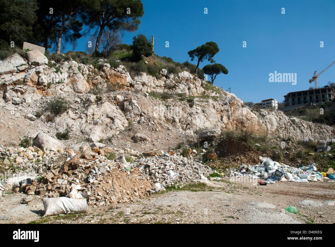 Green Dustbin High Resolution Stock Photography and Images - Alamy