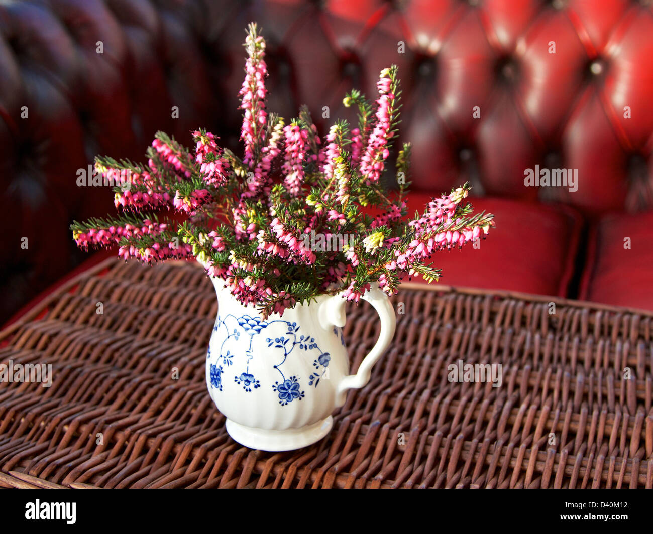 Heather pink hi-res stock photography and images - Alamy