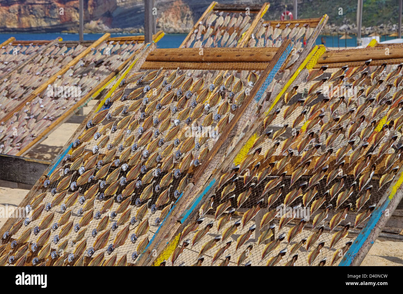 Stockfish stockfisch hi-res stock photography and images - Alamy