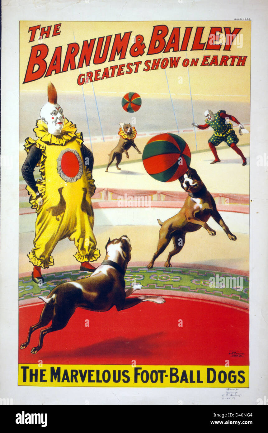 The Marvelous Foot Ball dogs of the Barnum and bailey circus Stock ...