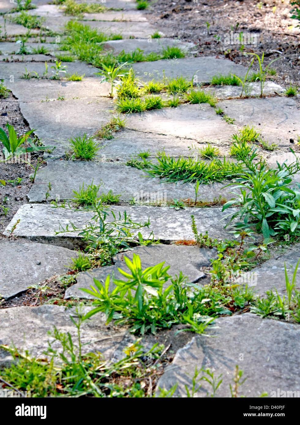 Curved pathway hi-res stock photography and images - Alamy