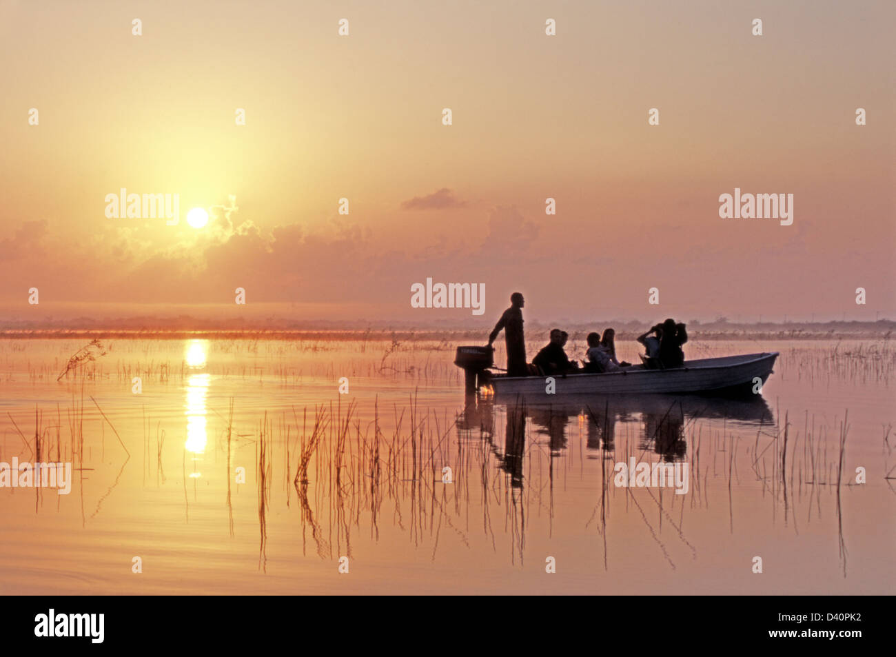 Dawn boat trip on crooked tree lagoon belize Stock Photo - Alamy