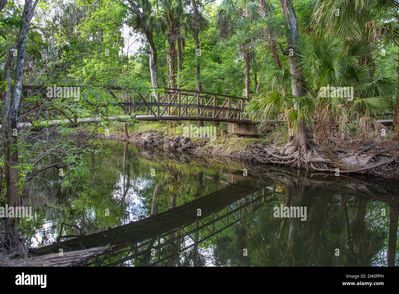 Footbridge over Hillsborough River in Morris Bridge Park part of Lower ...