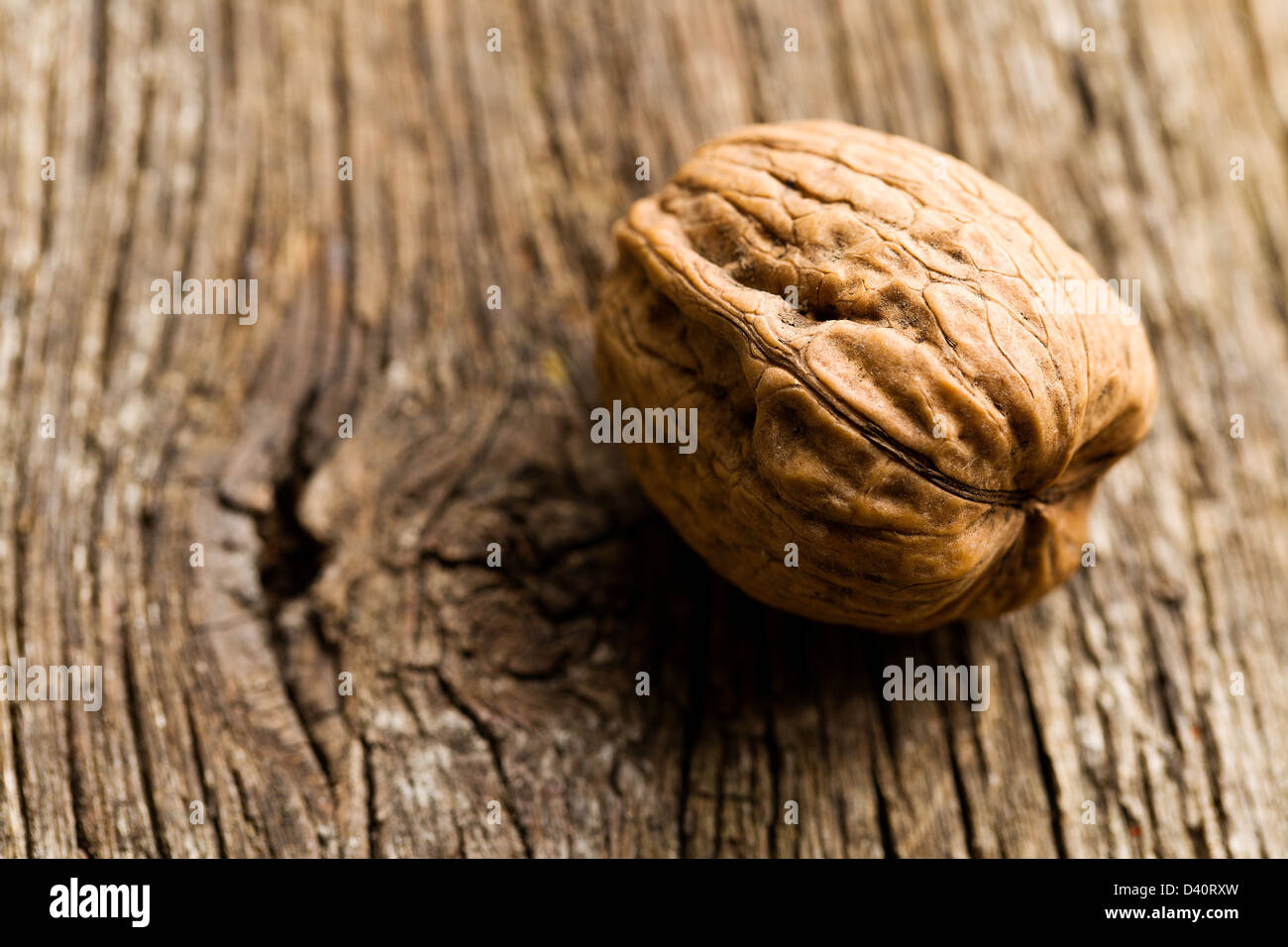 Walnut Close Up High Resolution Stock Photography and Images - Alamy