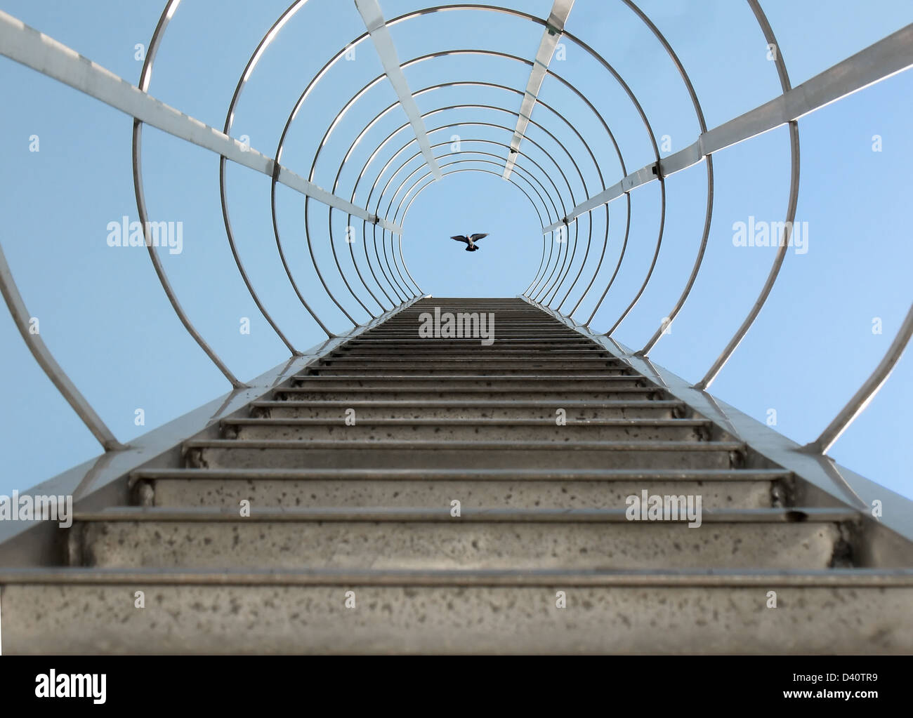 Steps of a ladder, are photographed on a background of the blue sky ...
