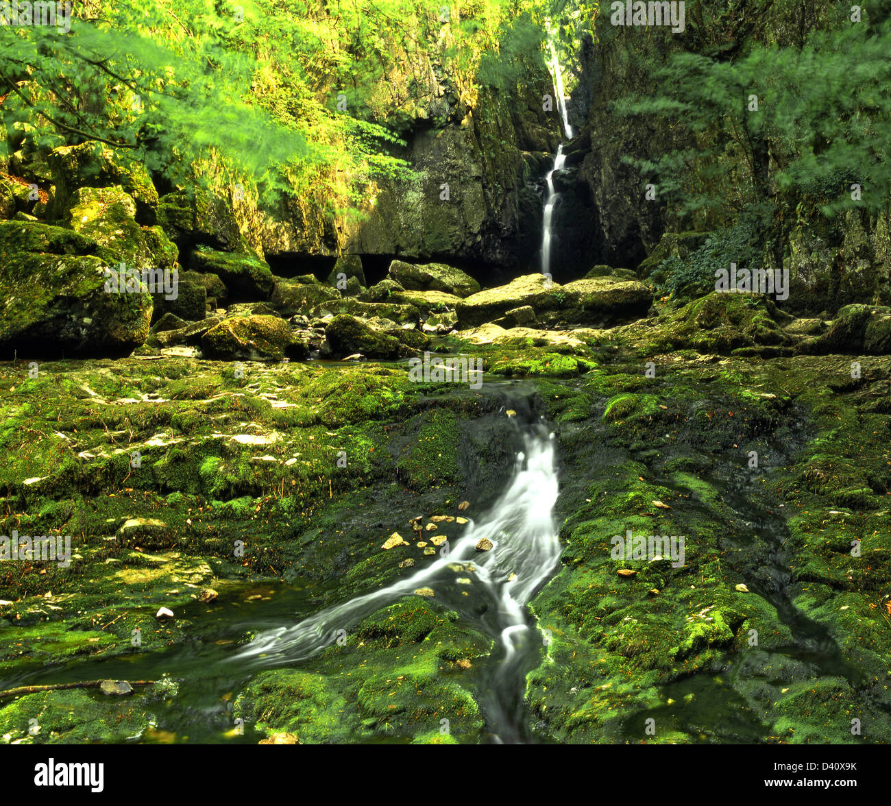 yorkshire dales waterfalls catrigg force Stock Photo - Alamy