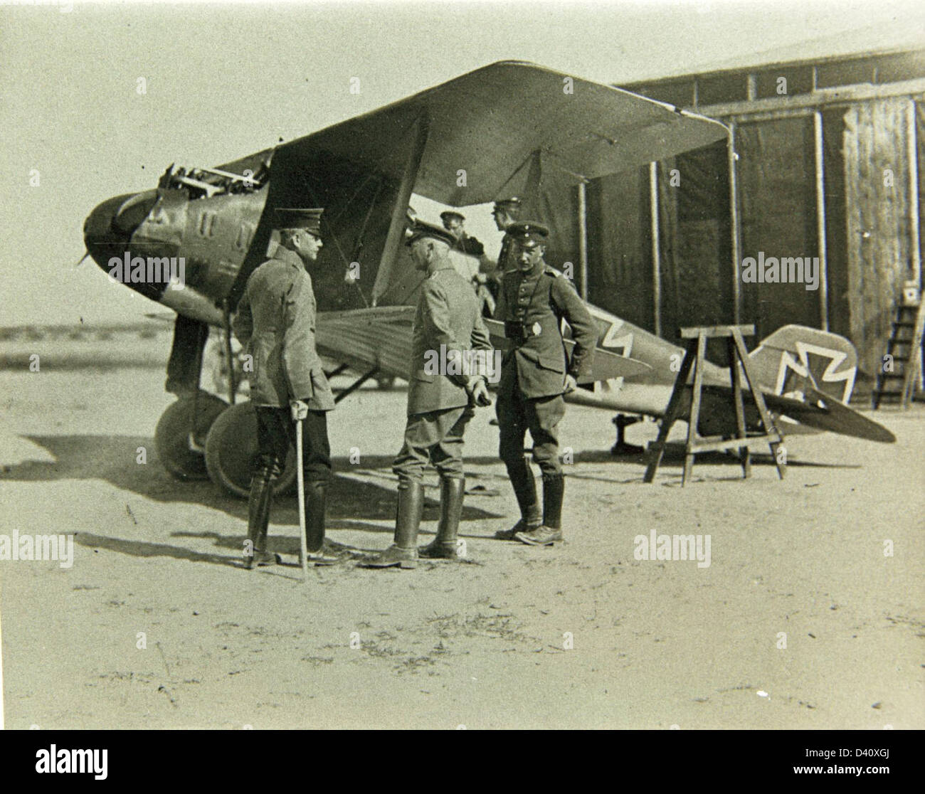 The LFG Roland DII was a German biplane fighter used during World War I ...