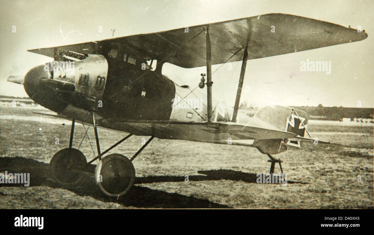 The LFG Roland D.III was a German World War I fighter aircraft known ...