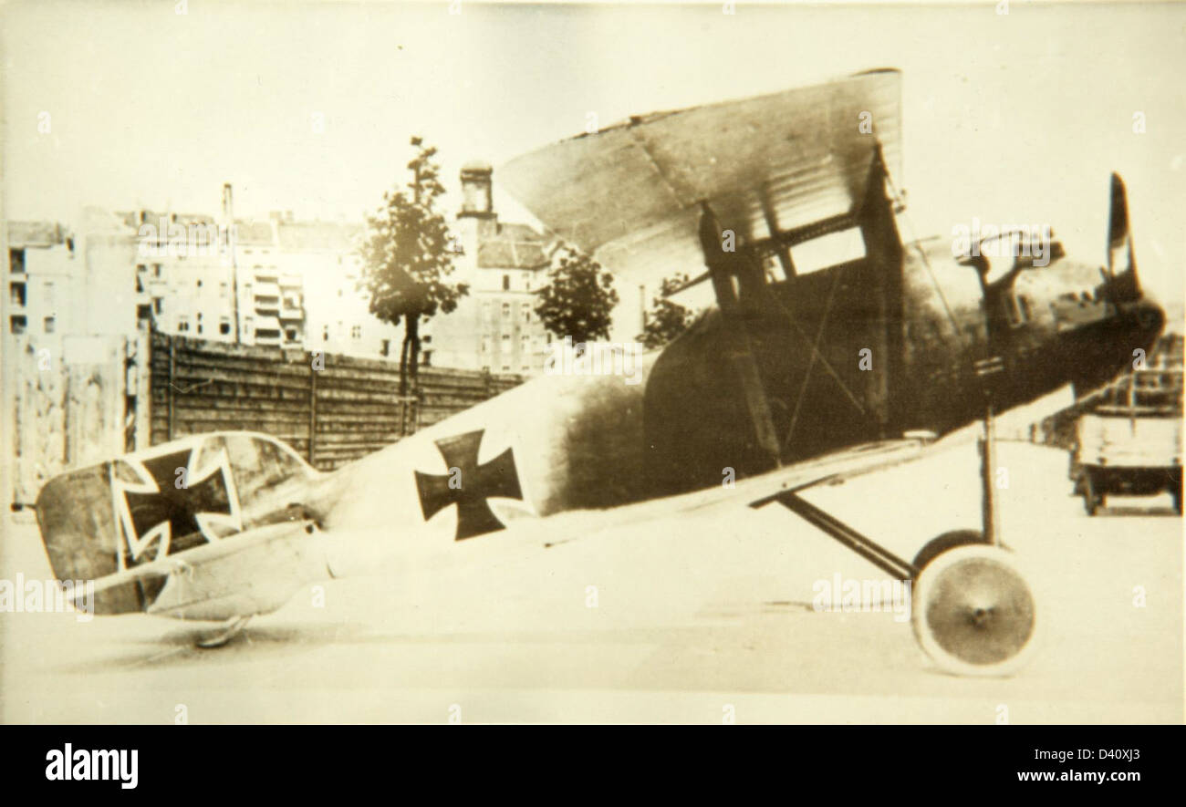The LFG Roland D III was a German biplane used in World War I as a ...