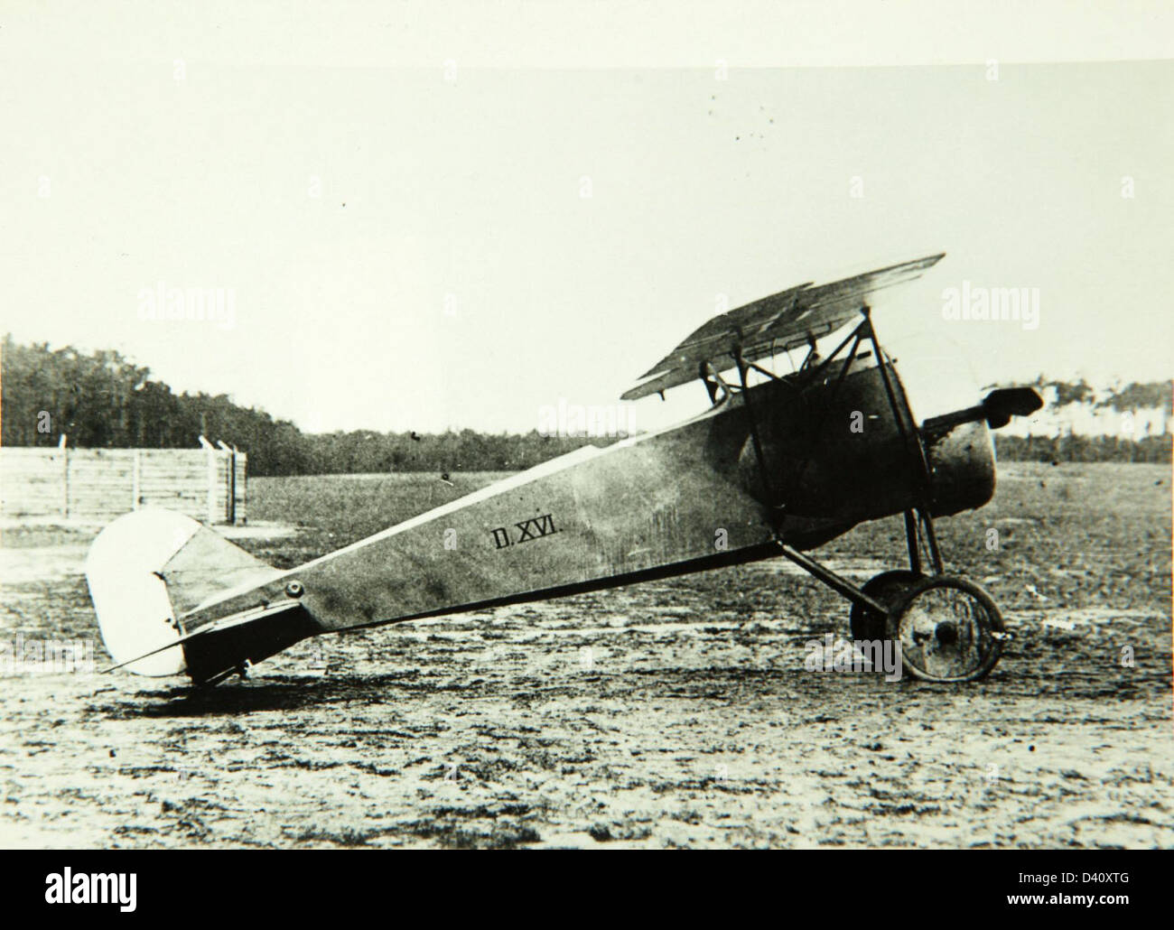 The LFG Roland D.XVI was a German World War I biplane fighter known for ...