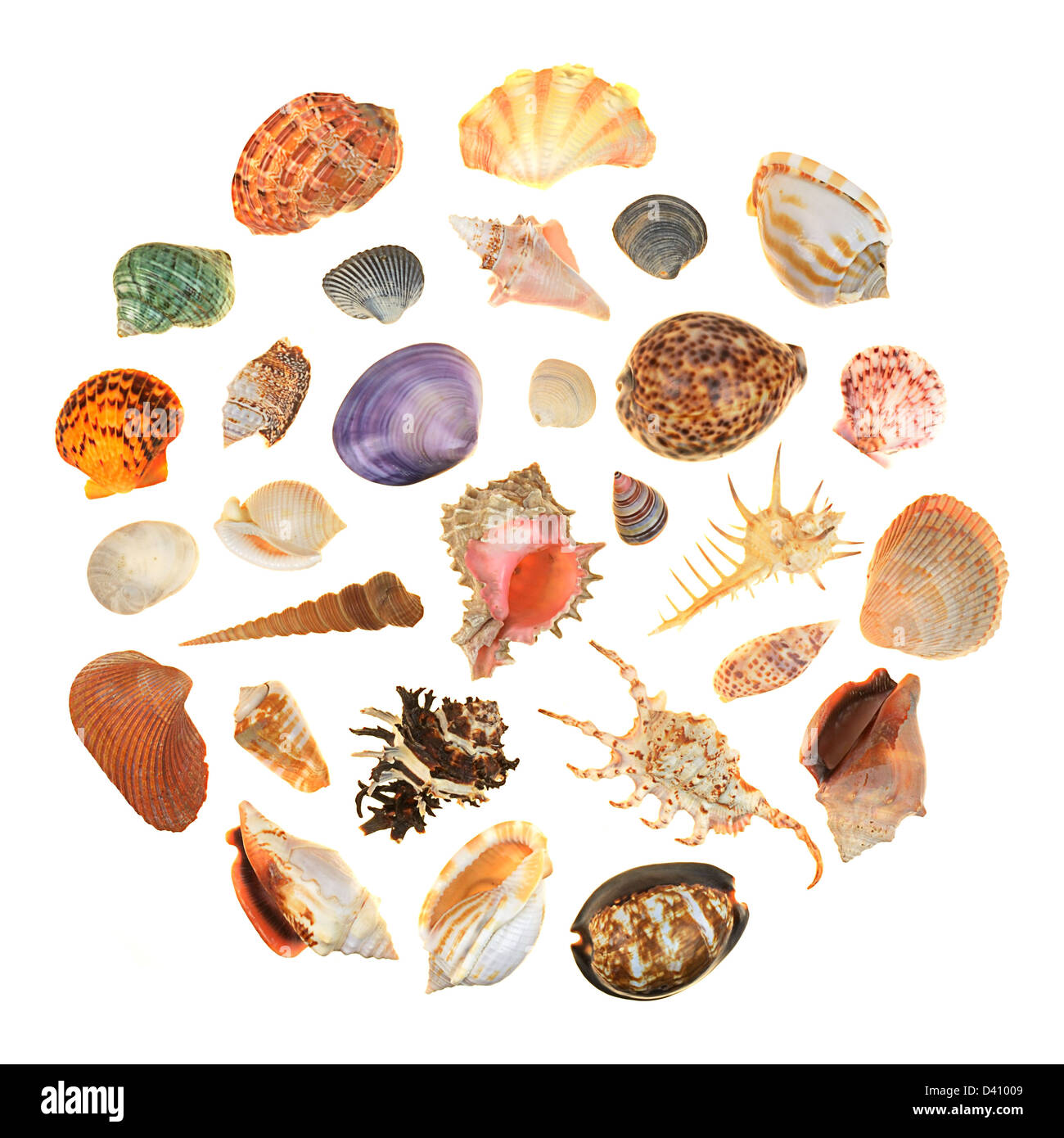 Collection Of High Resolution Stock Photography and Images - Alamy