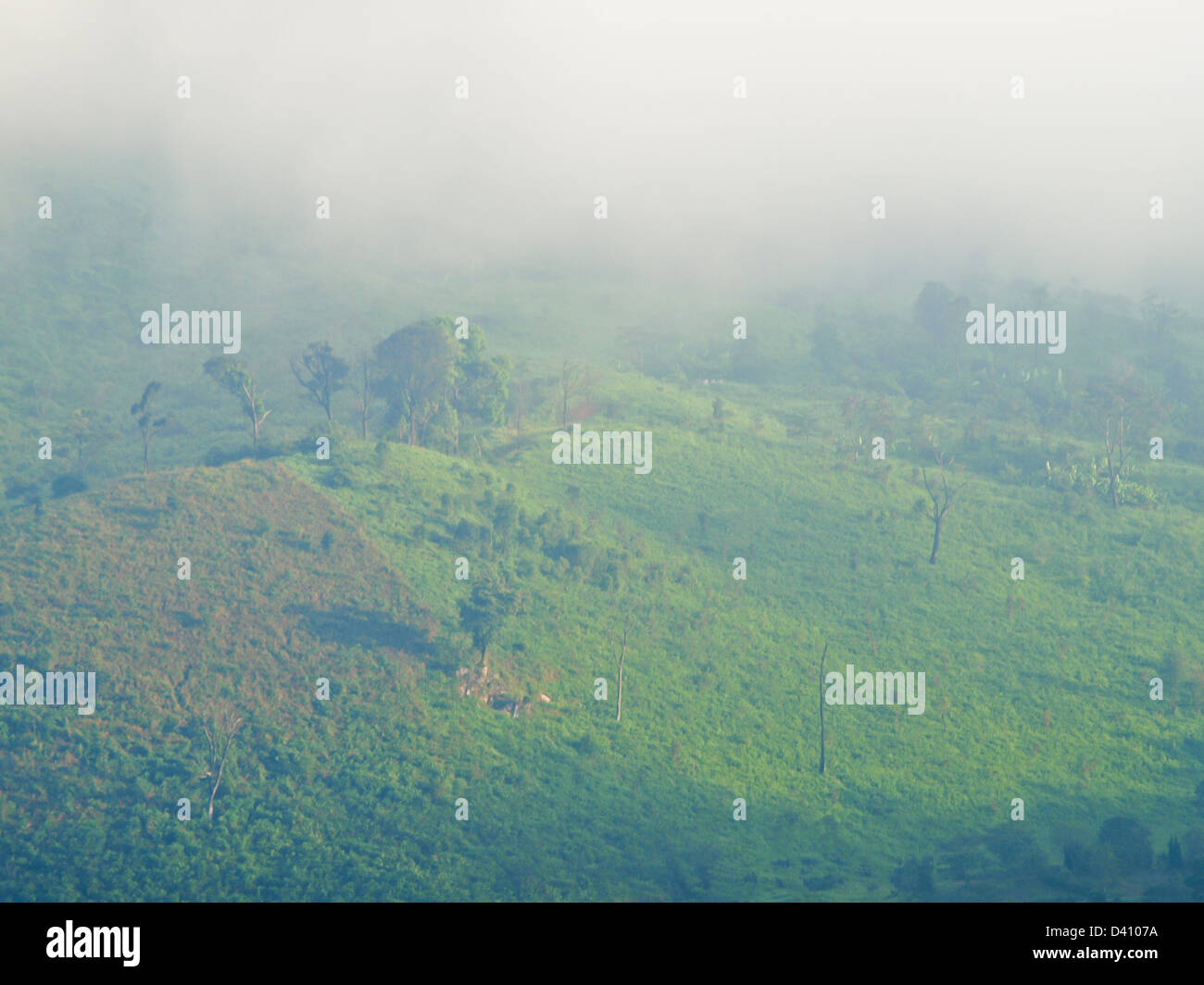 Chaeng rai hi-res stock photography and images - Alamy