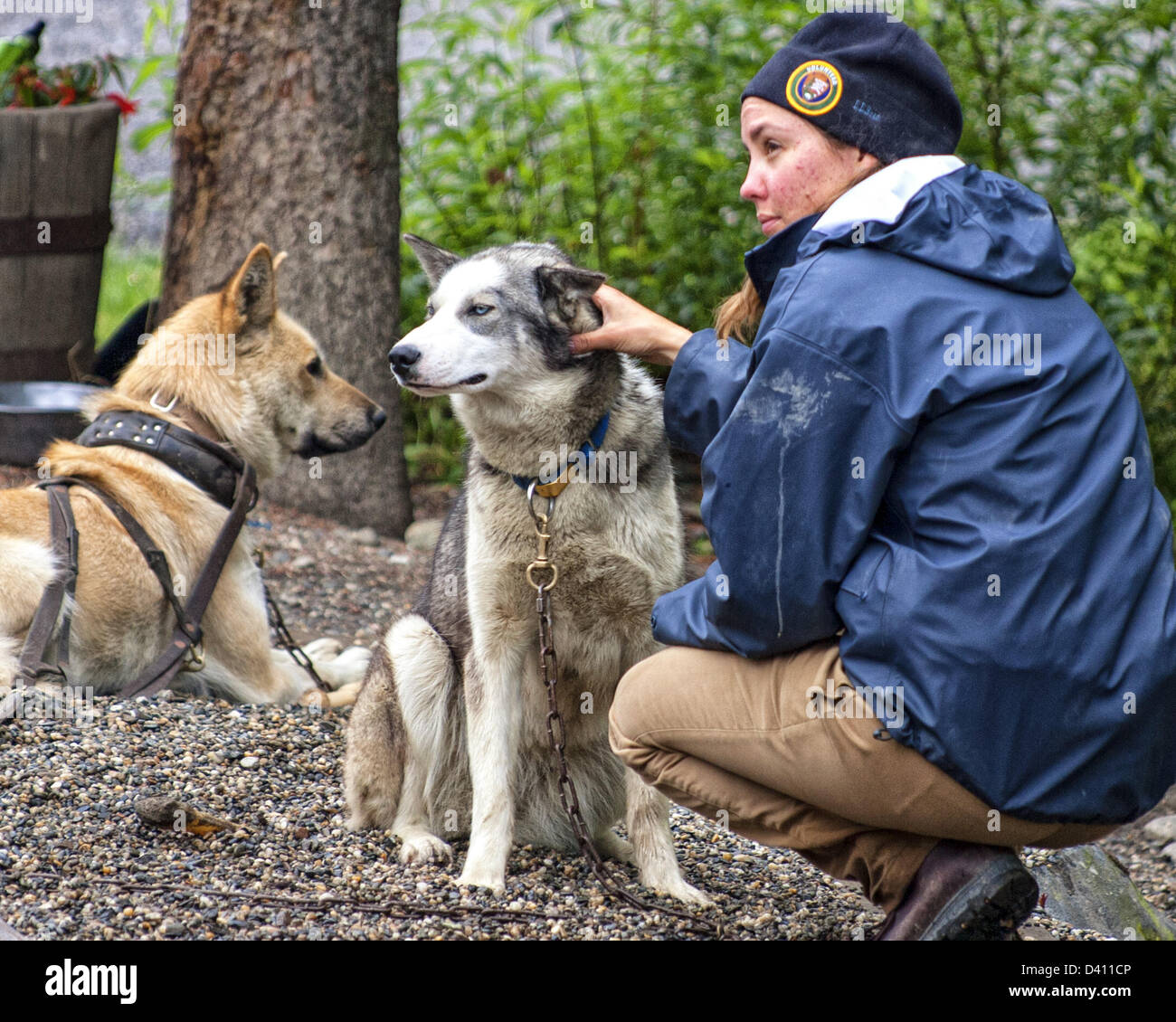 June 28, 2012 - Denali Borough, Alaska, US - A National Park Service ...