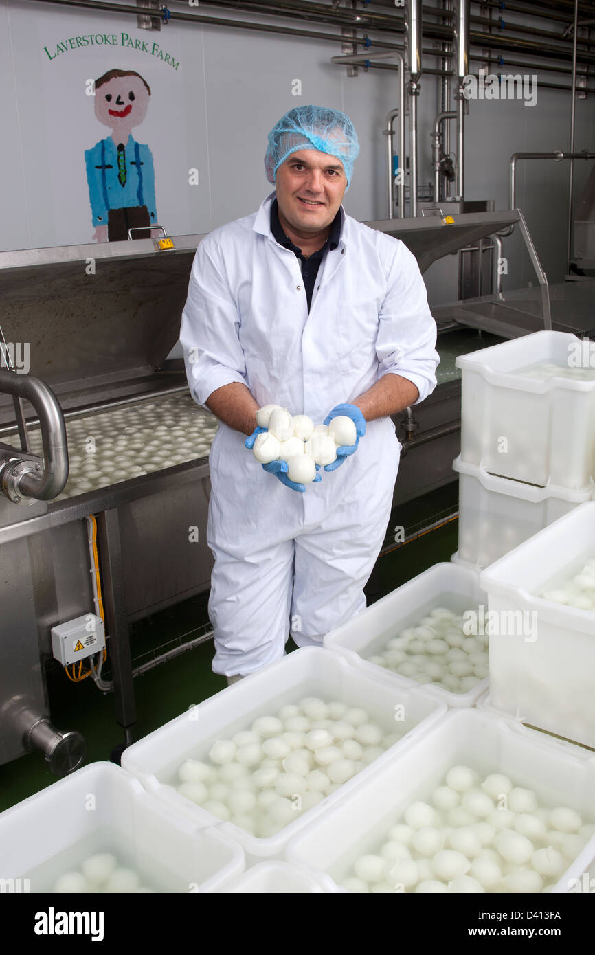 Mozzarella cheese line hi-res stock photography and images - Alamy