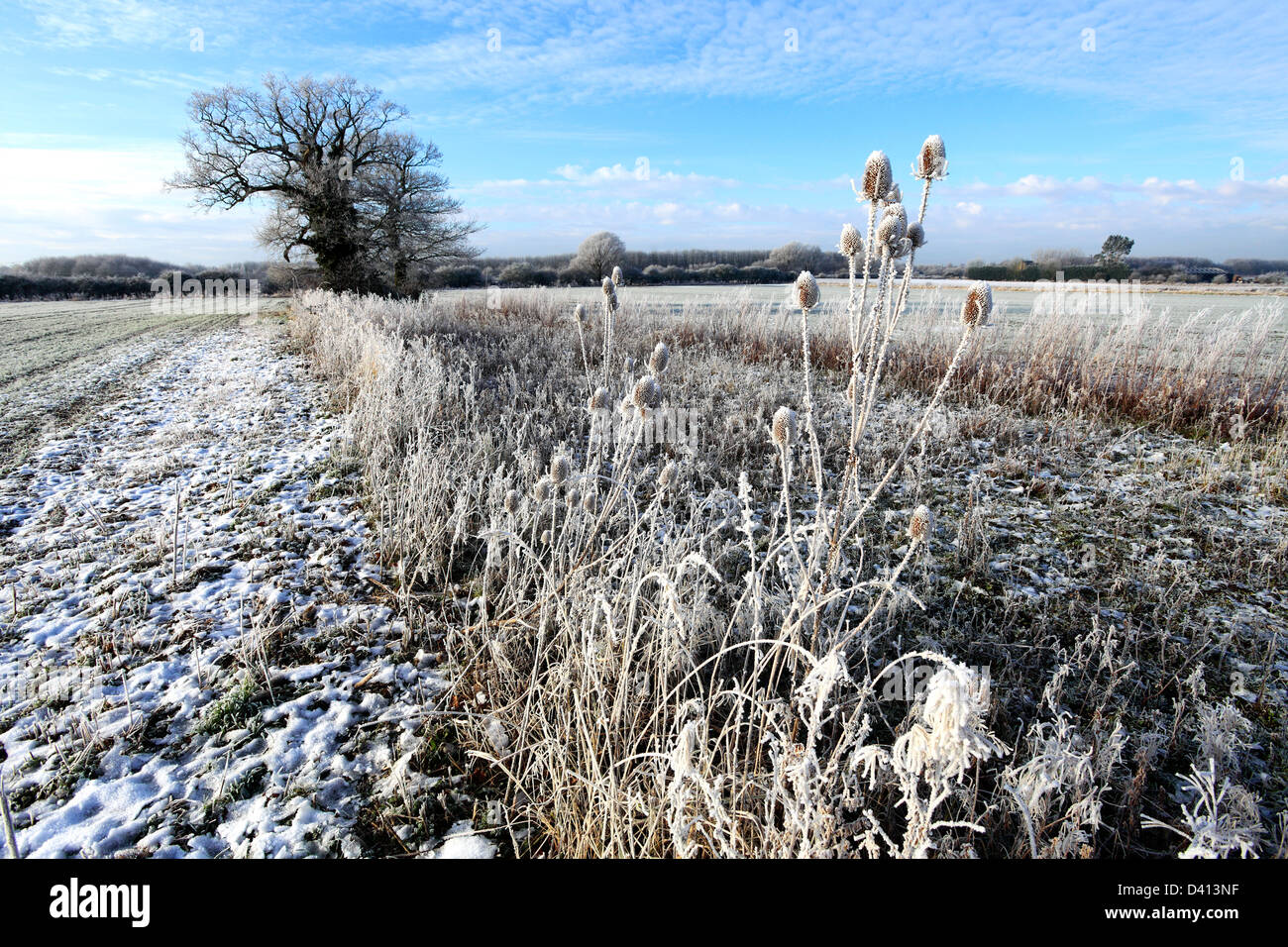 Winter fenland scene hi-res stock photography and images - Alamy