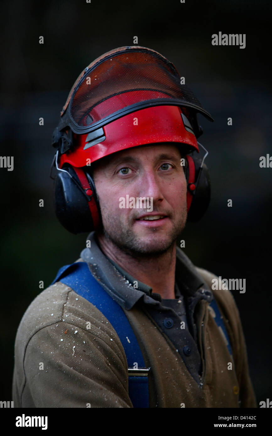 portrait of a forestry worker with helmet Stock Photo - Alamy