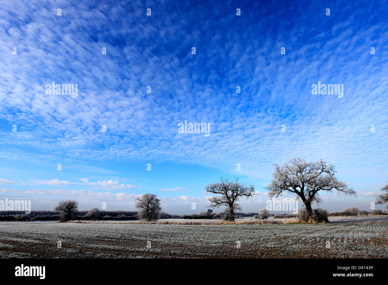 Winter fenland scene hi-res stock photography and images - Alamy