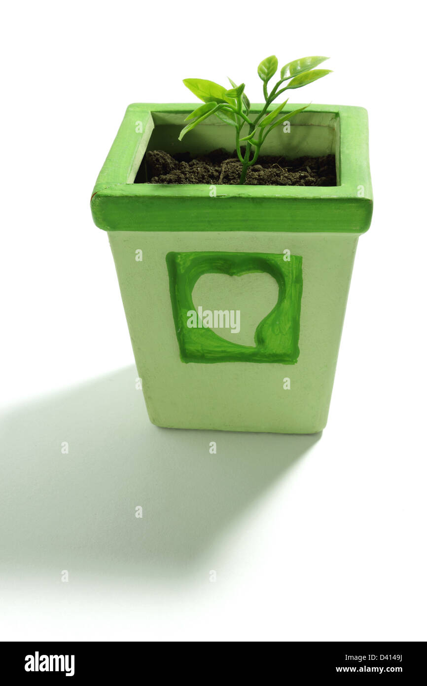 Plant pot cut out Cut Out Stock Images & Pictures - Alamy