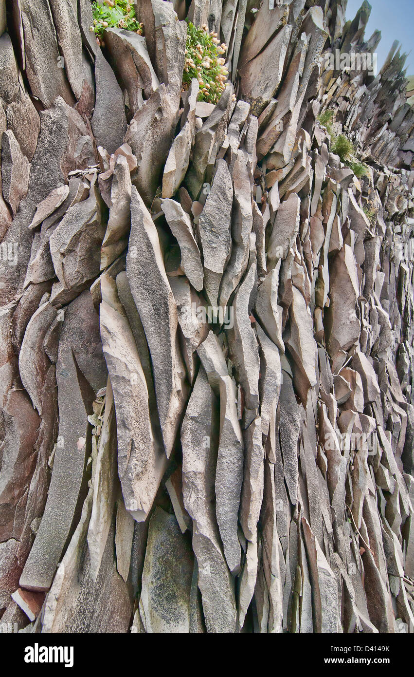Petrified rocks hi-res stock photography and images - Alamy